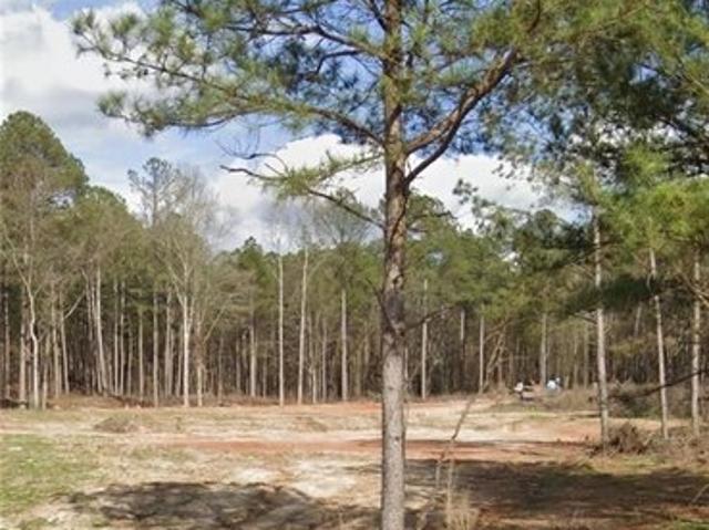 5020 Guthrie Cemetery Rd, Loganville, GA 30052
