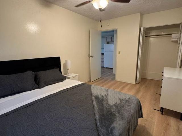 502 1 Bedroom Apartment for Rent at 320 Iliahi St, Hilo, HI 96720