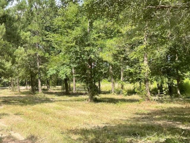 502 County Road 3408