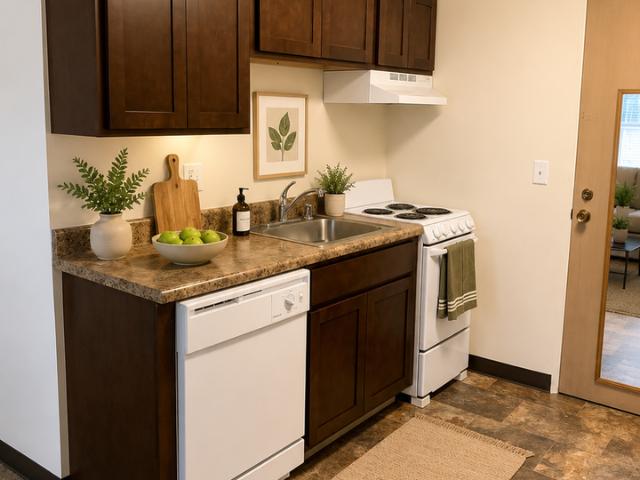 502 E Main St 1 Bedroom Apartment for Rent at 502 E Main St, Madison, WI 53703 Downtown Madison