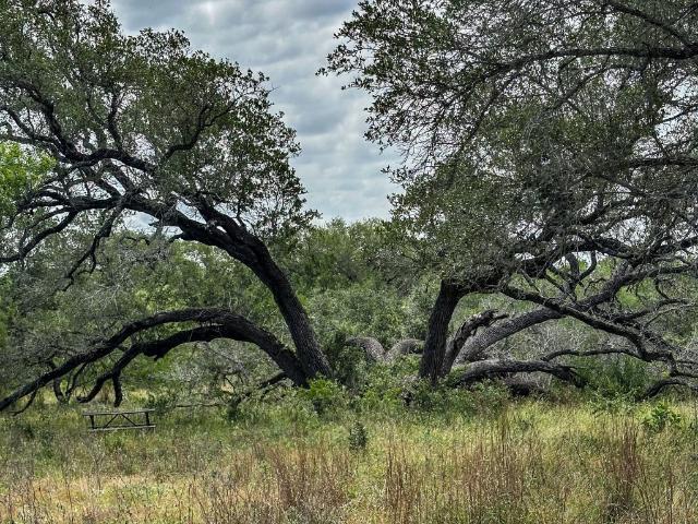 502 Robertson Rd, Smiley, TX 78159 | MLS #1150