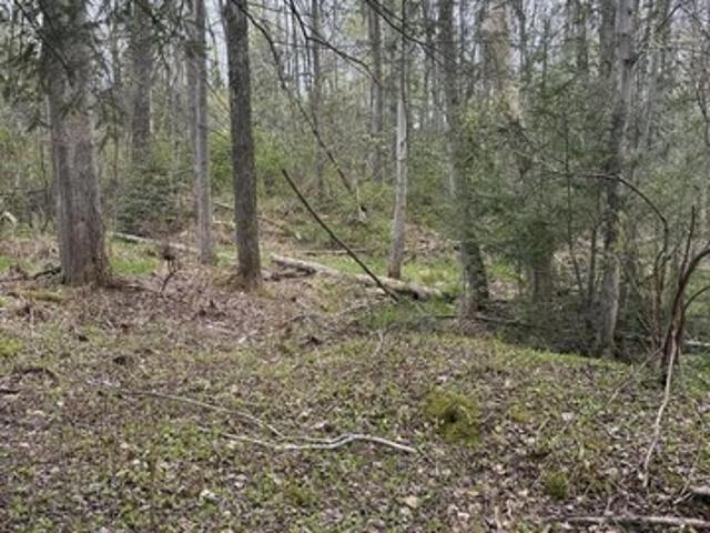 502 Rear, Covington Township, PA 18444