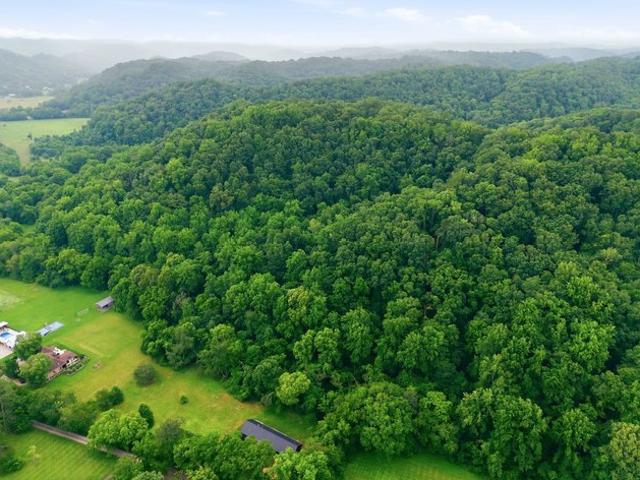 5034 Seymour Hollow Rd, Whites Creek, TN 37189