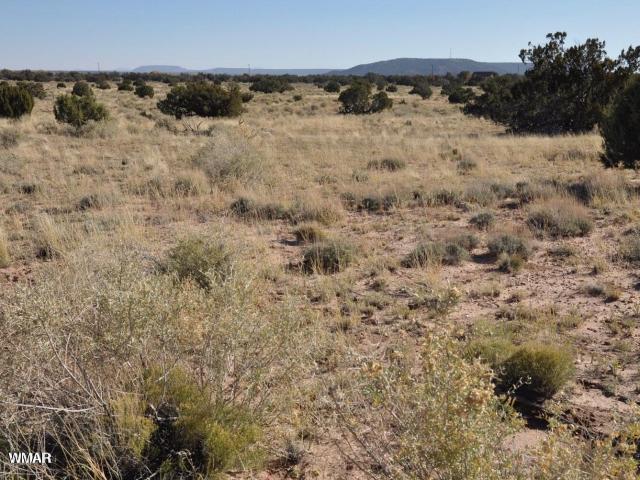 5039 Pima Road