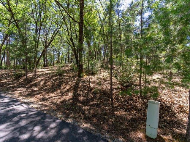 5030 Irish Oak Ln, Placerville, CA 95667