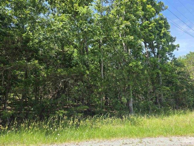 503 and 505 Dove Ln, Horseshoe Bend, AR 72512