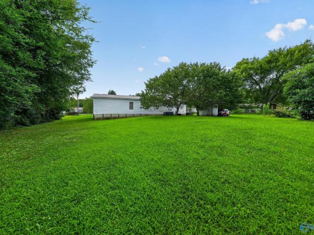 503 Mitchell Moore Road