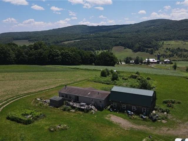 503 N Harpersfield Rd, Jefferson, NY 12093