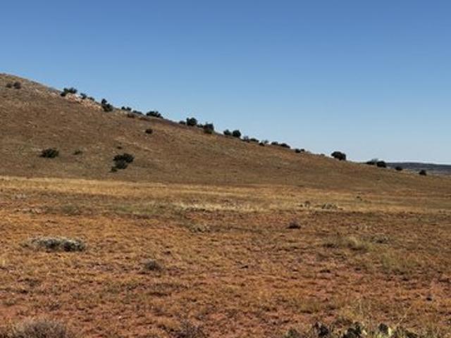 503C John Wayne Rd, Concho, AZ 85924