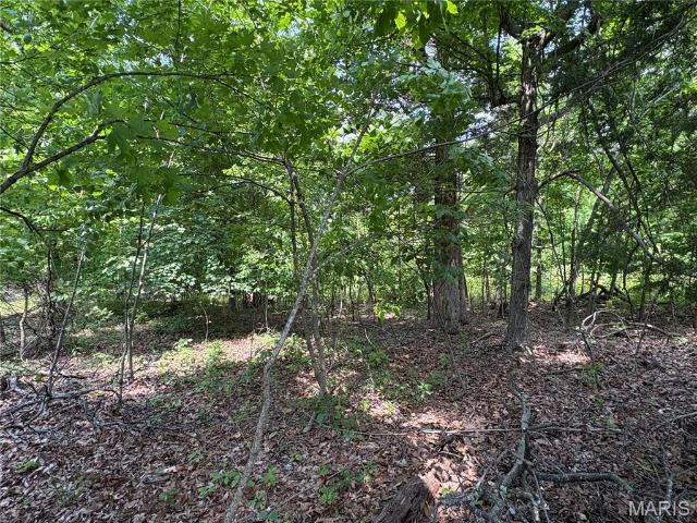 5046 Port Perry Dr, Perryville, MO 63775 | MLS #26045