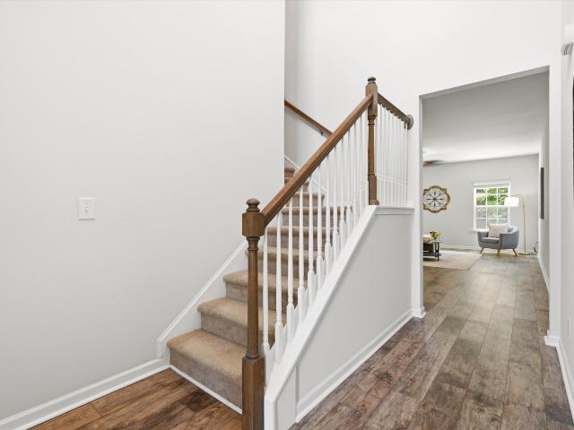 5046 White Cedar Road