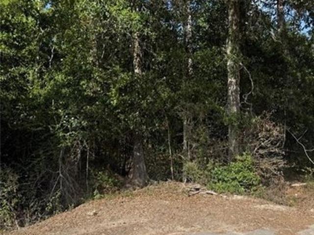 50473 Highway 51 Lot 1, Tickfaw, LA 70466