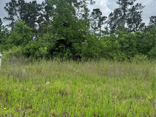 5049 Road 5874