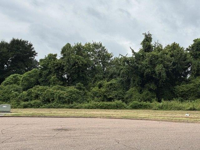 5041 Carterville Pl Lot 16, Memphis, TN 38127