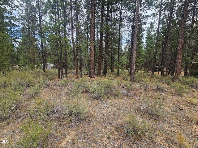 50428 Deer St, La Pine, OR 97739