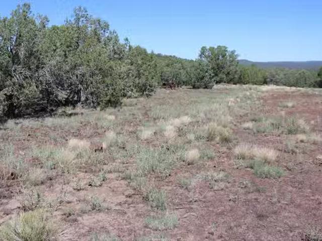 5043 N Al Circle #182, Williams, AZ 86046 MLS 6763041