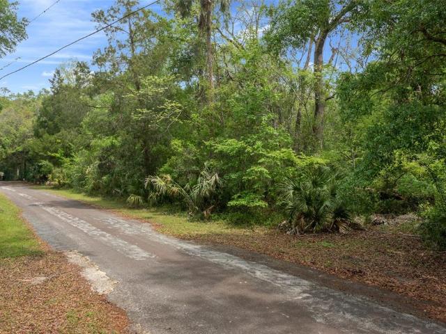 5043 S Palo Verde Point, Homosassa, FL 34448 | MLS #OM699088