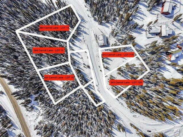 504 Carroll Ln Lot 15, Breckenridge, CO 80424