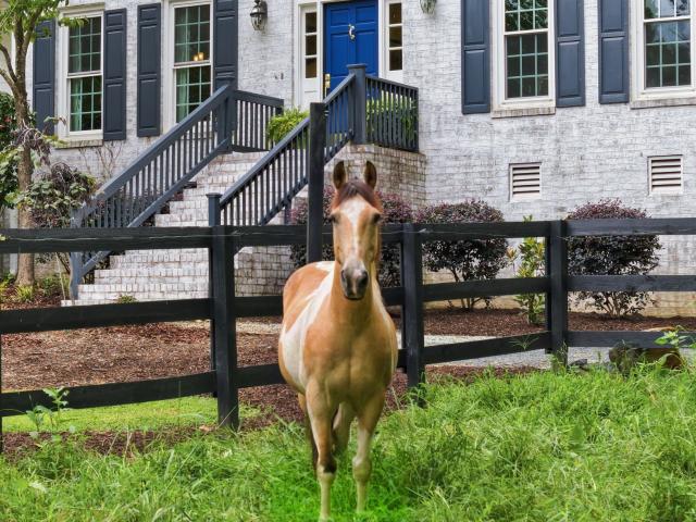 504 Appaloosa Trail