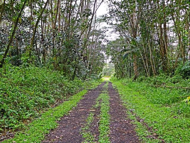 504 Ginger Rd, Pahoa, HI 96778 | MLS #727361