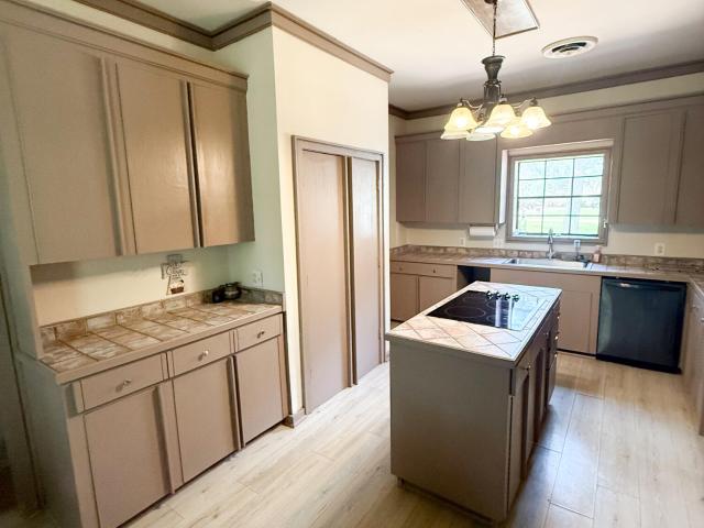 504 Fawn Cove