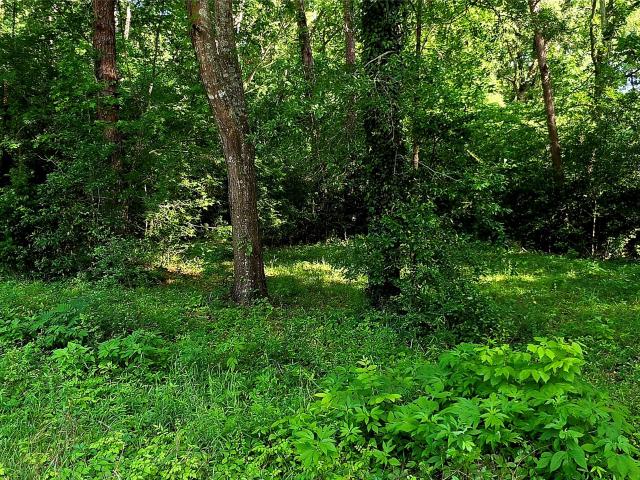504 John Kolb Road