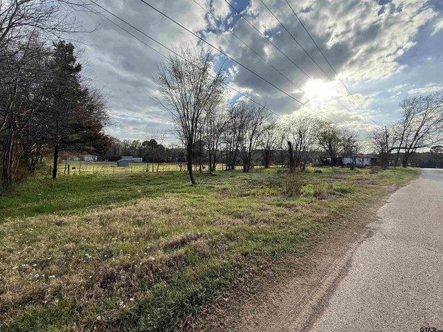 504 W Tarbutton St, Troup, TX 75789