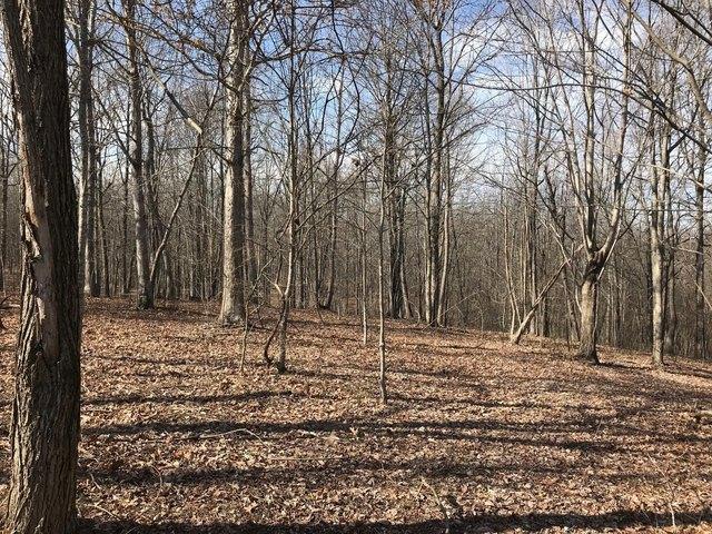 504 Wilderness Way, Dunlap, TN 37327