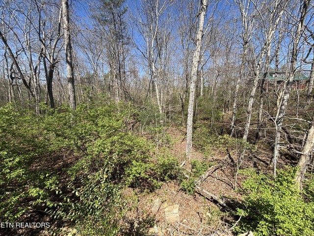 5054 Chinook Ln, Crossville, TN 38572