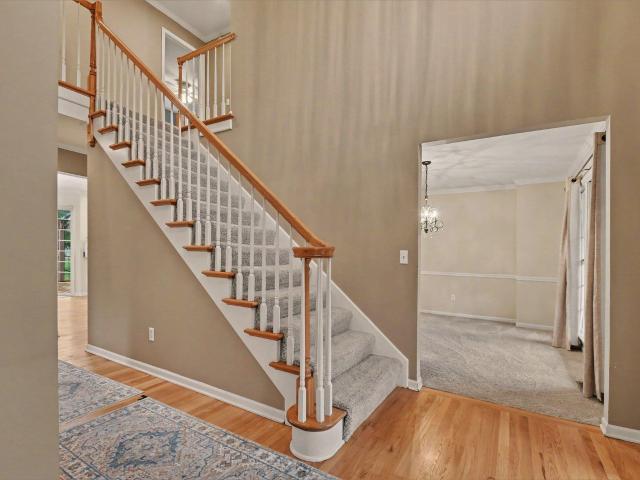 50581 Weeping Willow Run E