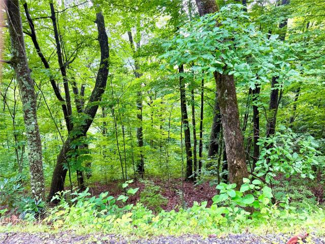 505 Mountainside Drive # 27 # 28, 29, 30, 31, 32
