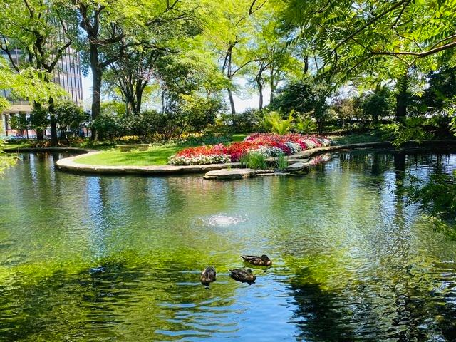 505 N Lake Shore Drive # 2017