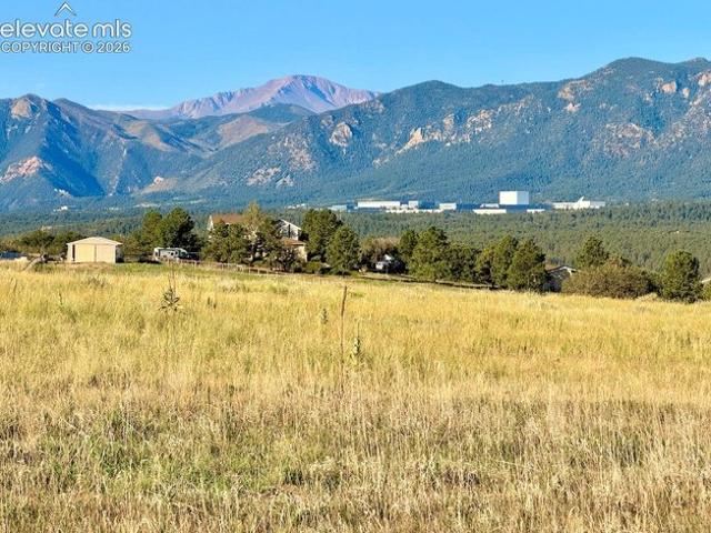 505 Struthers Loop, Colorado Springs, CO 80921