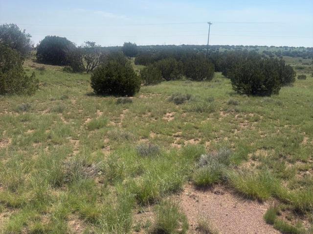 5064 Concho Drive 385