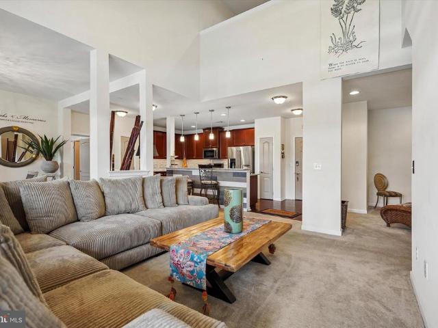 506 Carson Terrace