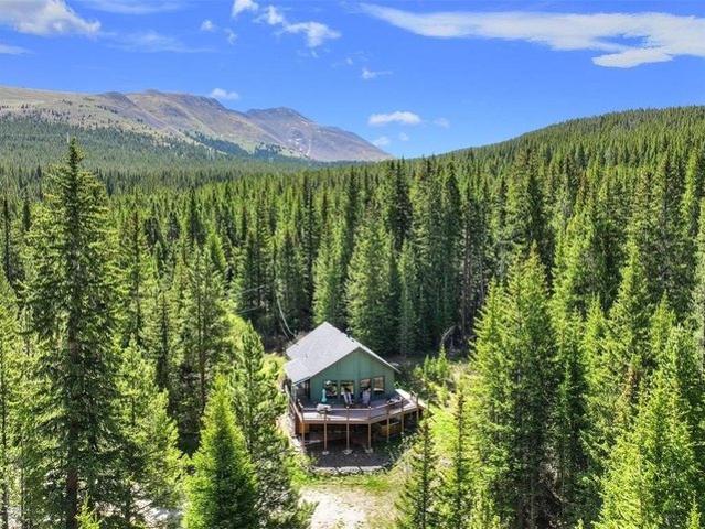 506 S County Road 528, Breckenridge, CO 80424