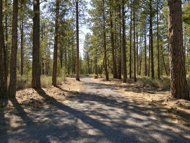 50750 Deer Forest Dr, La Pine, OR 97739