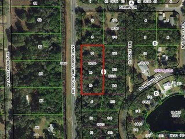 5075 N Carl G Rose Hwy, Hernando, FL 34442