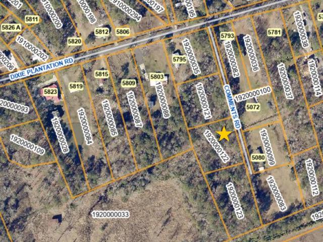 5077 Comments Rd, Hollywood, SC 29449 | MLS #25020