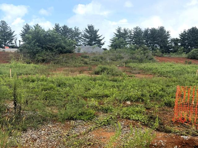 5078 Runnerstone Road