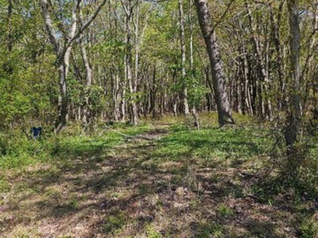 5071 Wayman Rd, Marion Station, MD 21838
