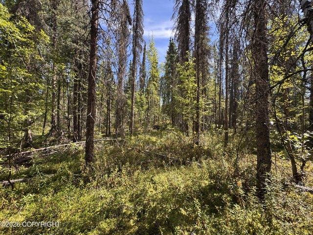 50738 S Silver Salmon Dr, Willow, AK 99688