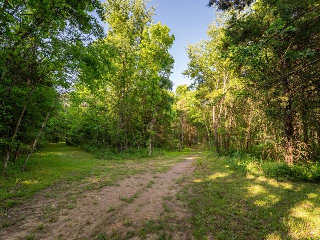 507 Fellowship Rd, Mount Juliet, TN 37122 | MLS #3217