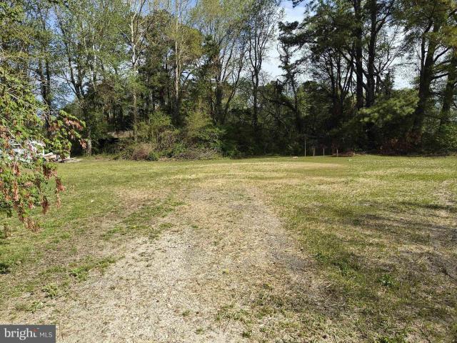 507 W Central Ave, Federalsburg, MD 21632 | MLS #MDCM2007