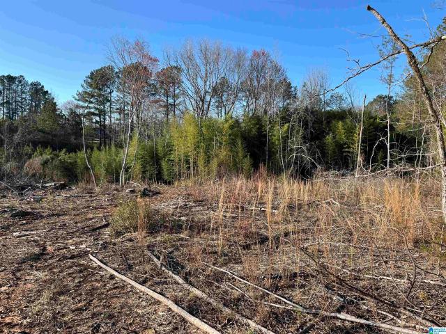 50864 Highway 22 # TRACT#1