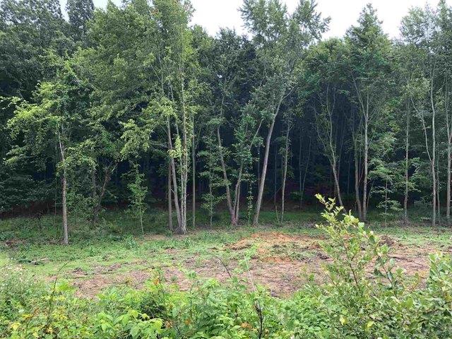 50890 Summit Ridge Trl Lot 45, South Bend, IN 46628