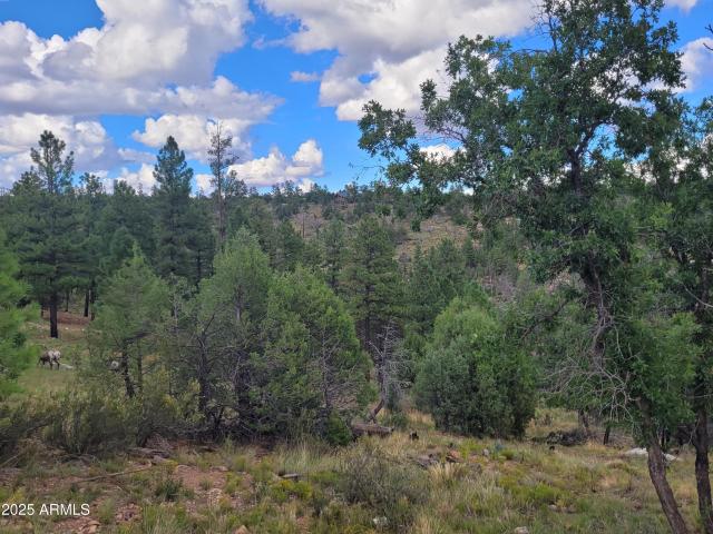 5089 Morning View Dr, Unit 5, Happy Jack, AZ 86024 | MLS #6910