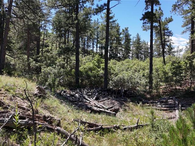 5080 S Perry Park Rd, Sedalia, CO 80135 | MLS #9020