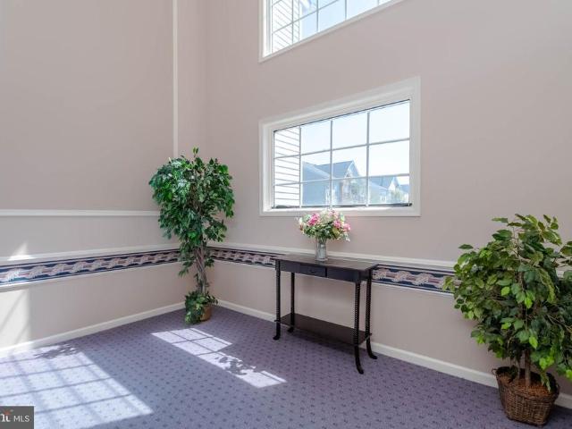 5082 Brightleaf Court