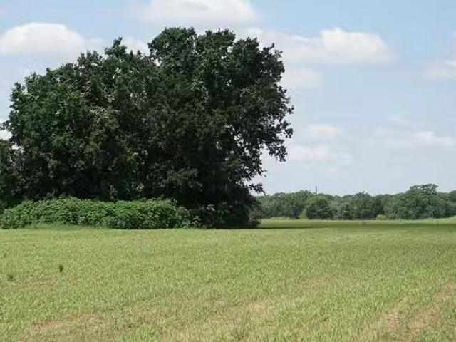 5083 Co Rd 377, Caldwell, TX 77836 MLS 5734841